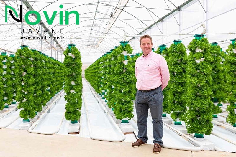 Building An Aeroponic System