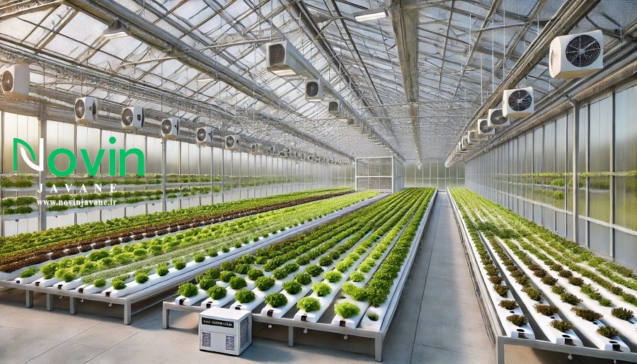 Hydroponic Greenhouse Systems