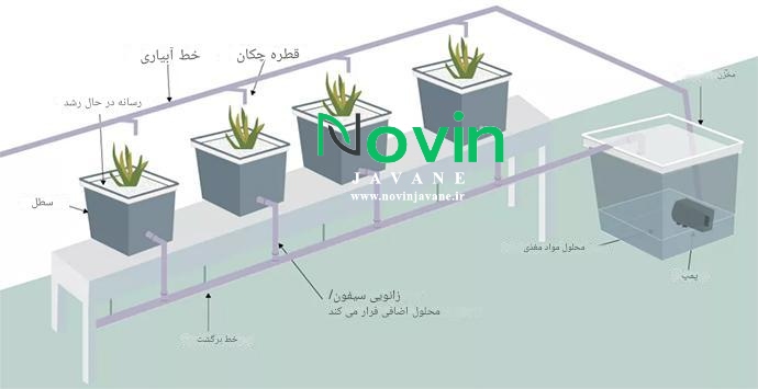 سطل هلندی | سیستم کشت هیدروپونیک سطلی هلندی | شرکت نوین جوانه
